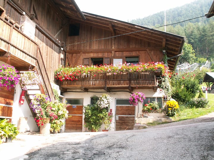 Ferienwohnung Kohlerhof - Bolzano