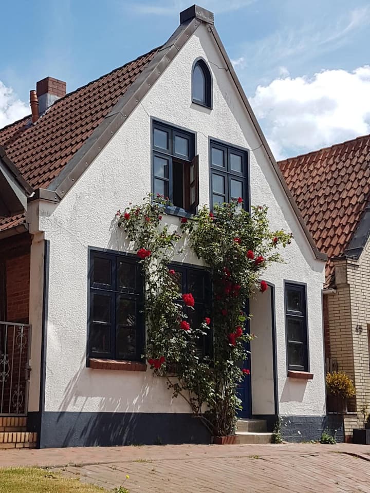 Tiny House Auf Dem Ostedeich - Neuhaus