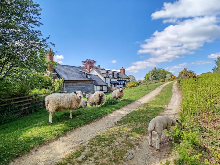 3 Bed In Leominster (Oc-r30485) - Leominster