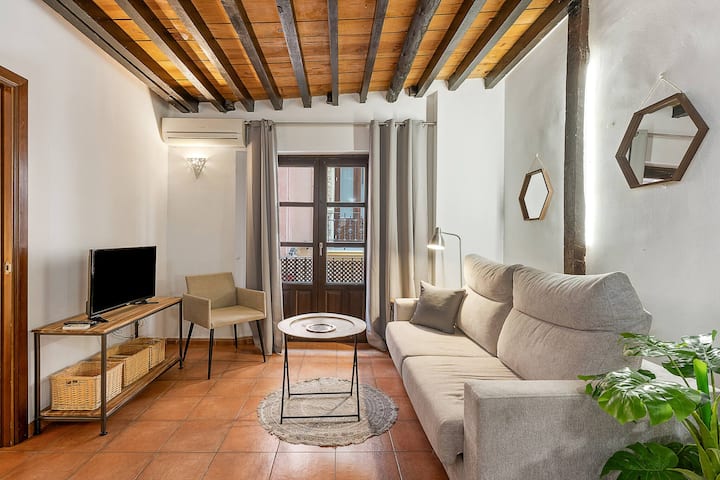 New · Plaza Nueva · Center · Cathedral · Private P - Parque de las Ciencias