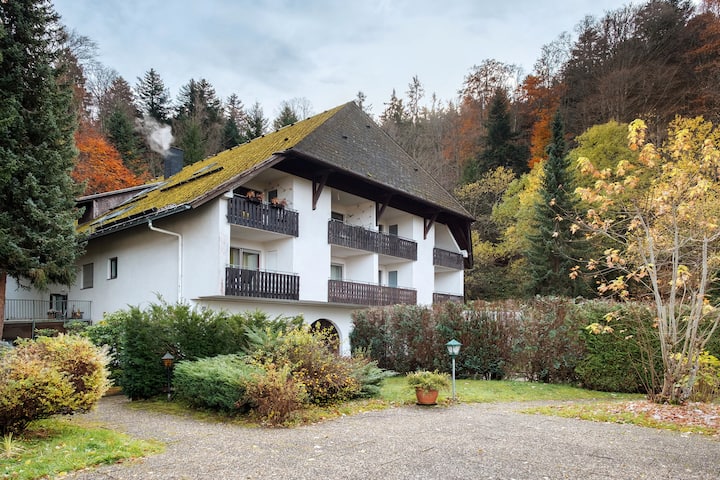 Ferienwohnung Bergblick - Triberg