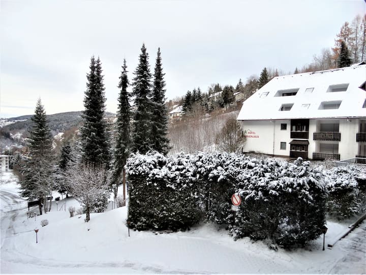 Ferienwohnung Bergblick - Triberg