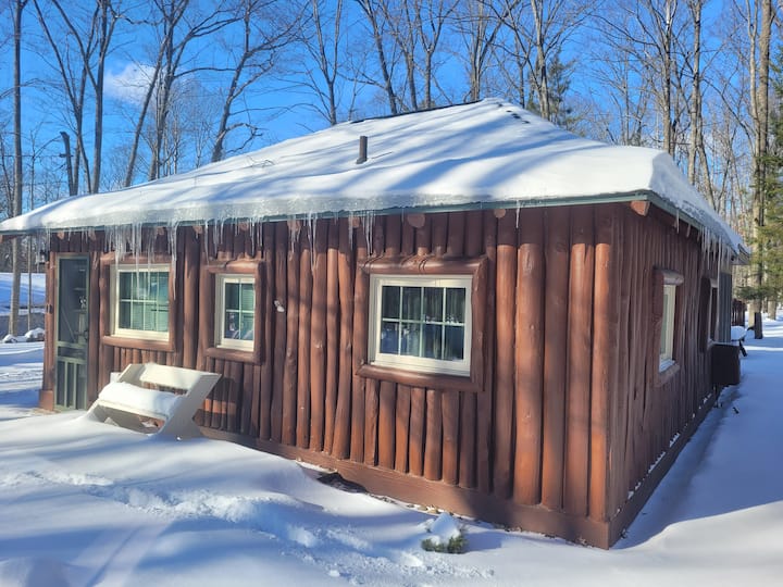 New!  The Higgins Lake Hideaway - Super Cute! - Higgins Lake, MI