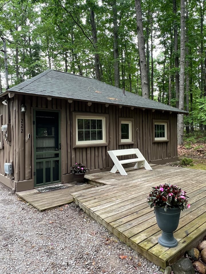 The Higgins Lake Hideaway - Super Cute! - Higgins Lake, MI