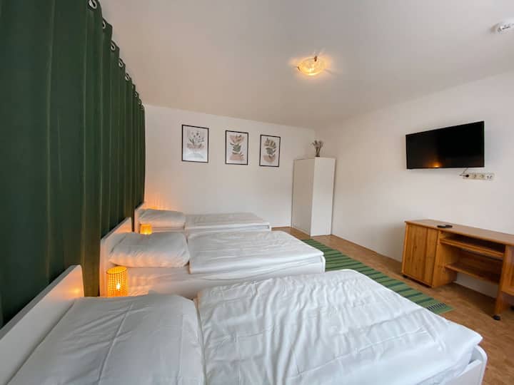 Oh05 2 Zimmer Apartment In Oberhausen - Oberhausen