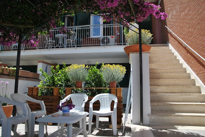 La Bouganville Proche De La Mer - Sperlonga
