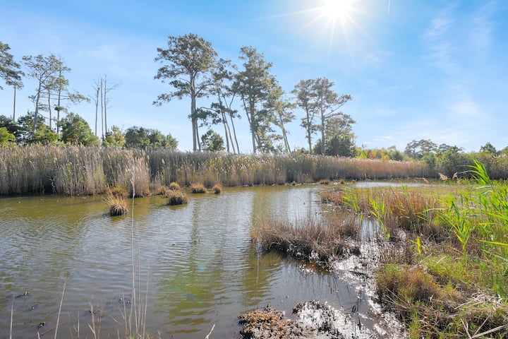 Egret's Walk | Marsh & Creek Views + Pets - Chincoteague, VA