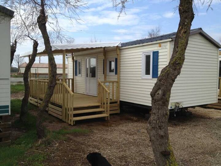 Camping 4 éToiles - Piscine  - Ccb0b0h - Portiragnes