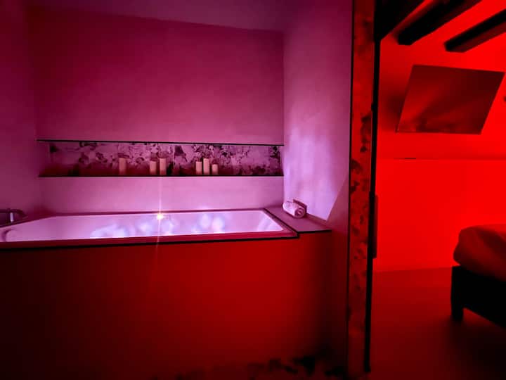 Midnight Flowers Avec Jacuzzi - Annecy