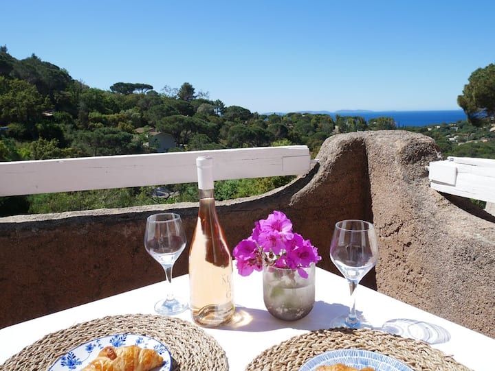 Bel Appartement Climatisé -Vue Mer - Mas De Gigaro - Ramatuelle