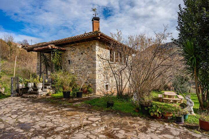 La Casa De La Torre - Somiedo