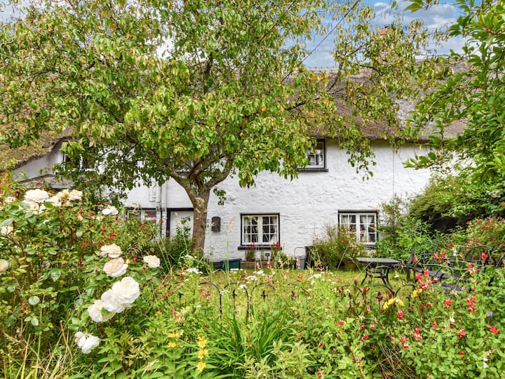Snowdrop Cottage - Okehampton