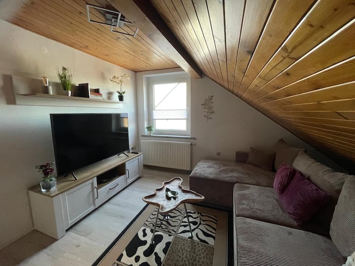 Ferienwohnung Küken (Ferienwohnungen Goldhahn) - Klingenthal