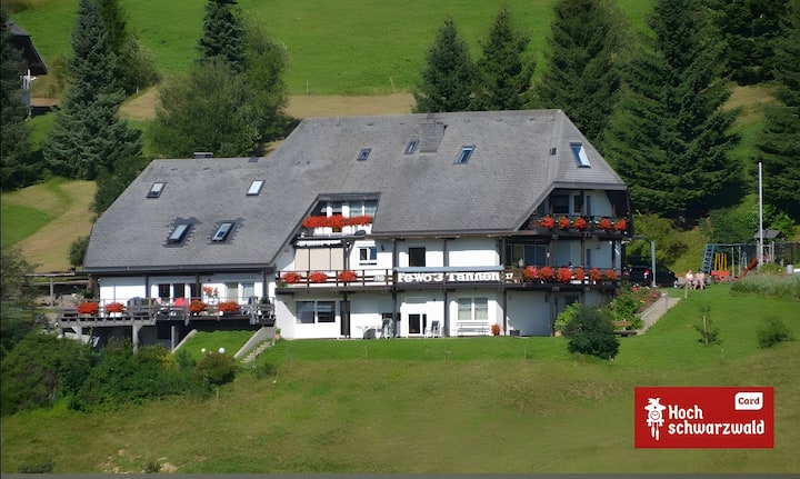 Buche, 72qm, 1 Schlafzimmer - Todtnau