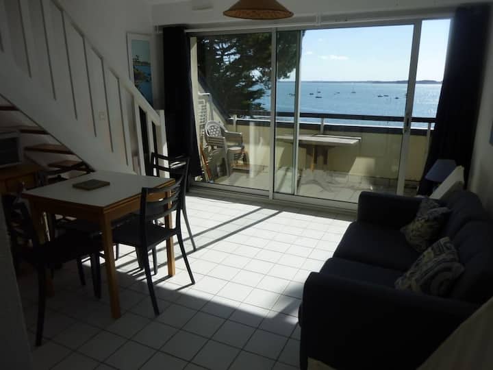 Duplex 4 Couchages, Vue Imprenable Sur L'océan - Damgan