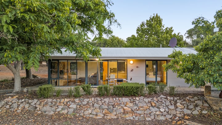 Petra Olive 2 - Yallingup