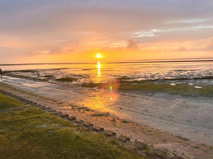 Ferienwohnung Zwergpinscher (271685) - Norderney