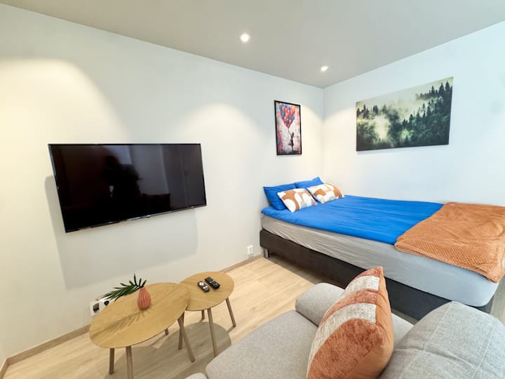Chic And Modern Studio - Central - Oslo
