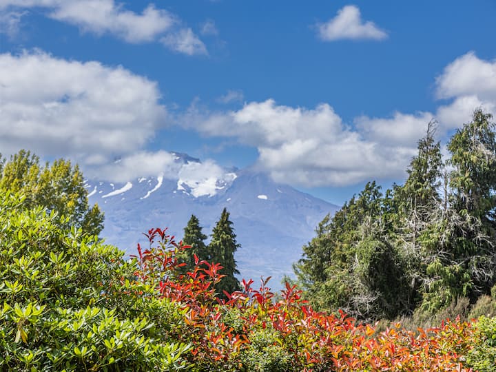 Maungatapu Studio 2 - Ohakune Holiday Home - Ohakune