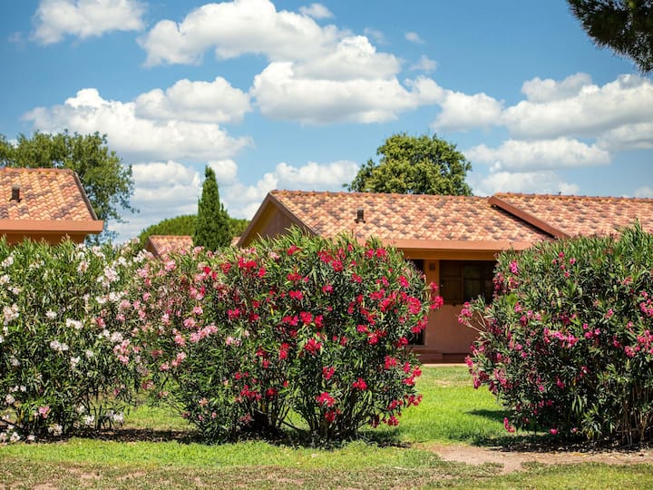 Appartement Avec Terrasse à Montalto Marina - Montalto di Castro