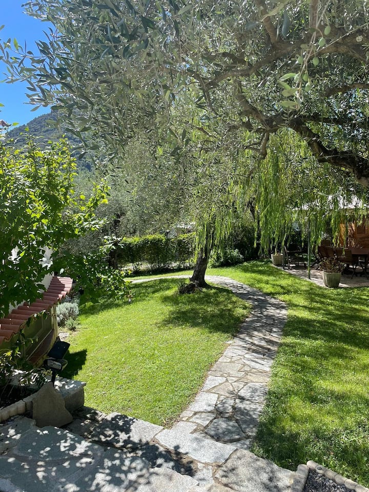 Salice Felice - Ventimiglia