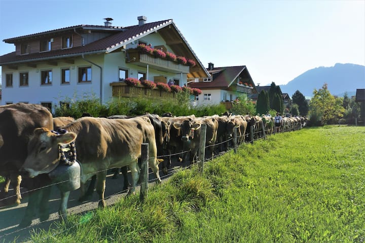 Fewo Grünten Im Herzen Vom Allgäu In Wertach - Wertach
