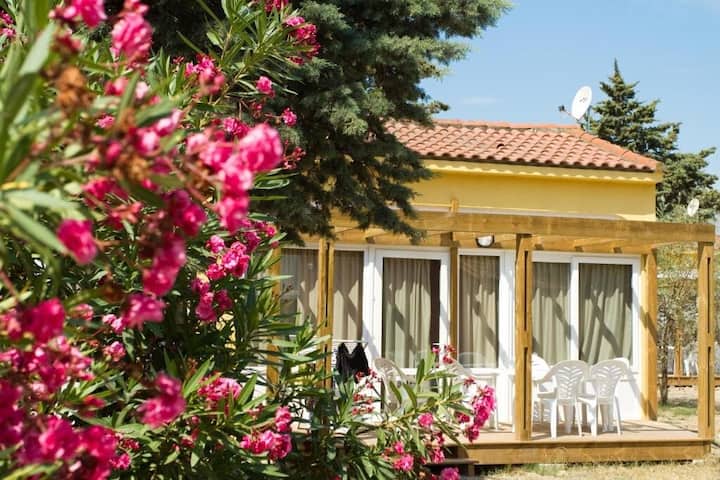 Gîte Pmr 3 Pièces 4/6 Personnes + Tv - Argelès-sur-Mer