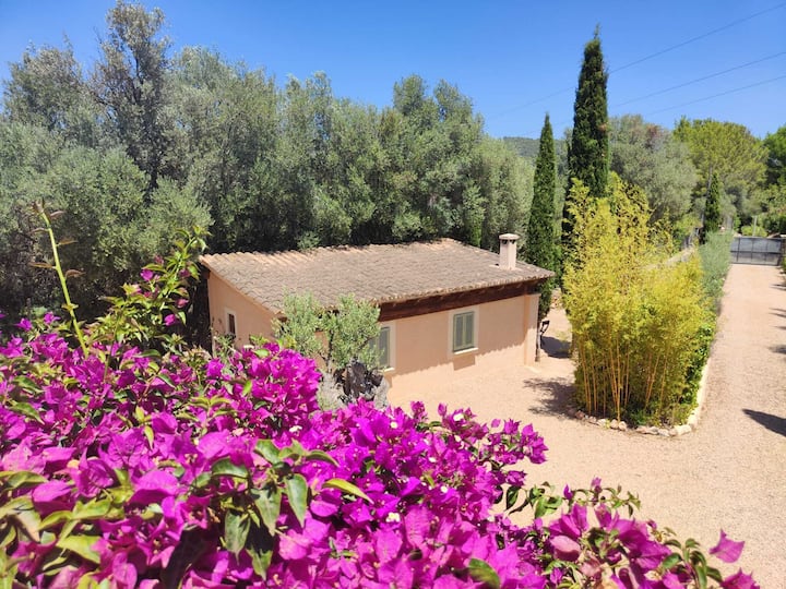 La Casita - Valldemossa