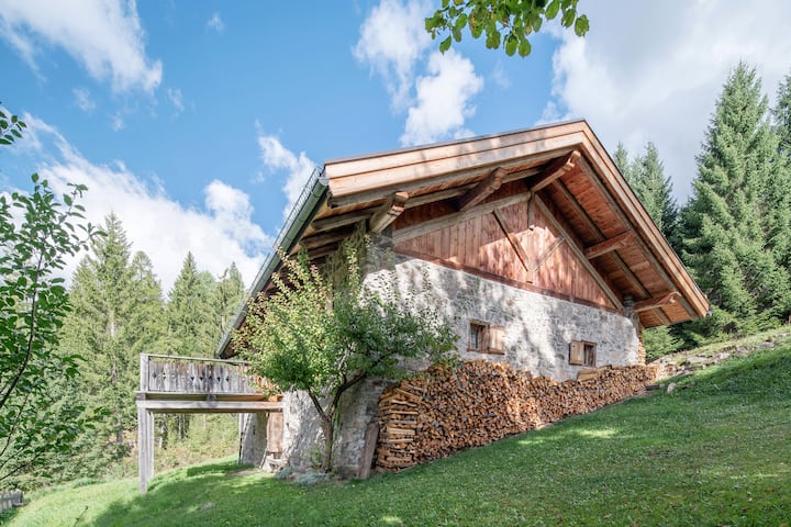 Chalet El Deroch - Bellamonte - Predazzo