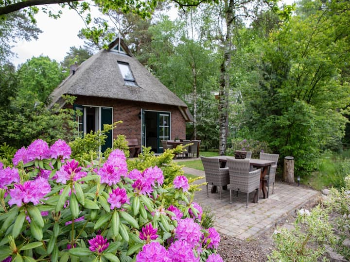 Bungalow Indépendant Avec Lit En Alcôve - Assen