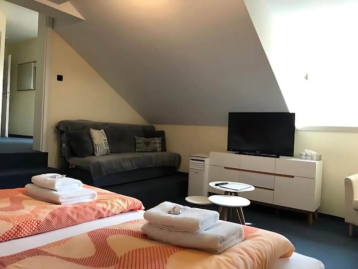Superior Family Room Nr6- 2 Bedrooms-bathroom - Rust
