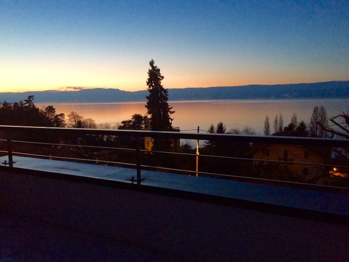 Villa Avec Vue Sur Lac Léman - Évian-les-Bains