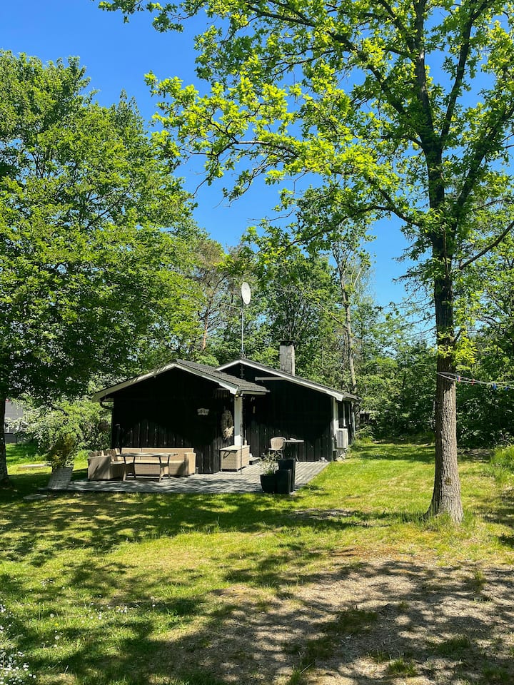 Idyllic Holiday Home With Forest View - Ebeltoft
