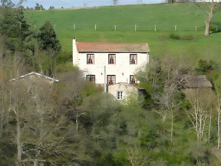 Gite La Grange De L'effraie - Monistrol-sur-Loire