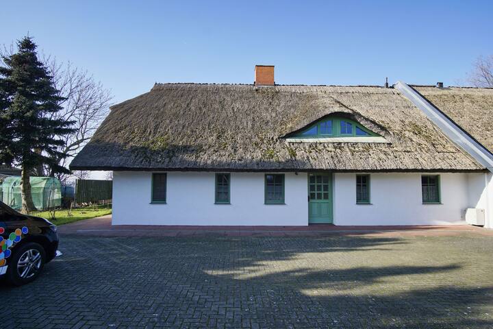 Ferienhaus Strandlatscher Fewo 01: Terrasse, Meerb - Wiek