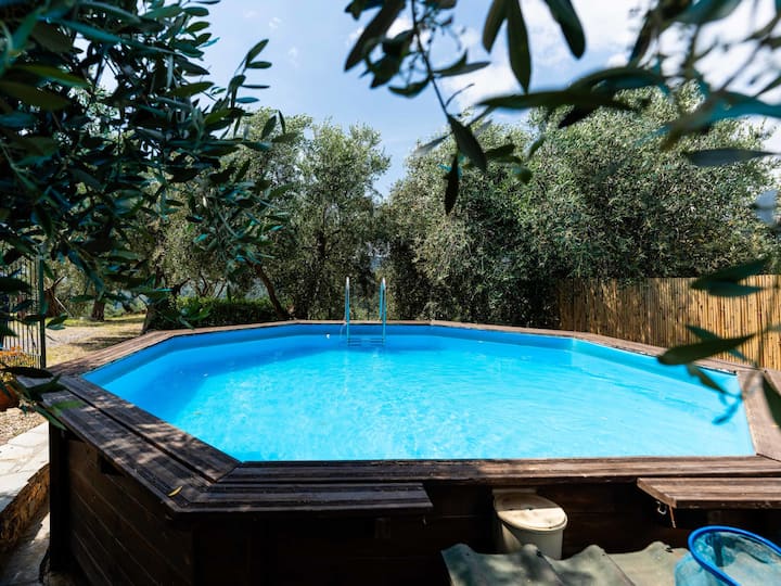 Olive Lodge By Interhome - Imperia