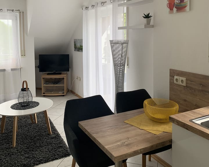 Große Ferienwohnung - Bodman-Ludwigshafen