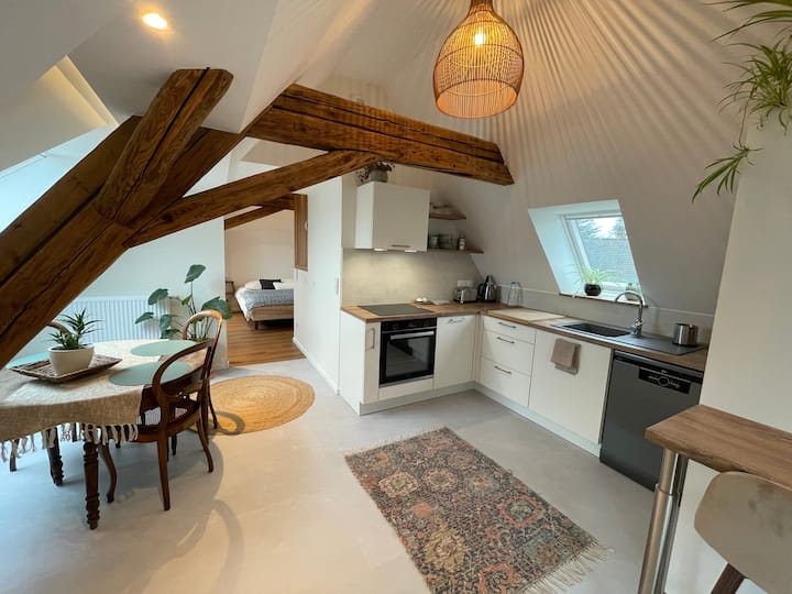 La Girouette - Au Coeur D'un Corps De Ferme - Hôpital de Hautepierre