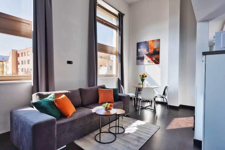 Spacious Loft-apart In Prague - Praga