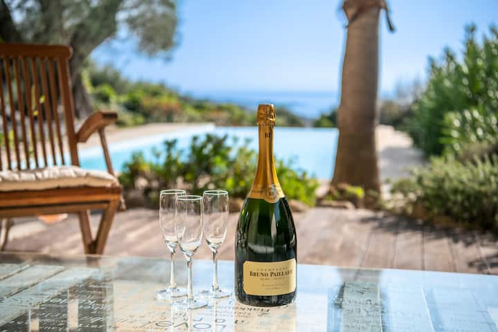 Villa Vallauris – Infinity Pool - Vallauris