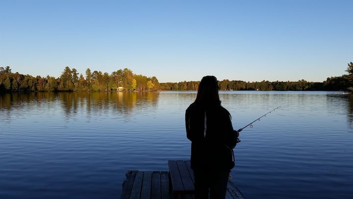Lake Forest Resort – Relax On A Pristine Sandy Bea - Eagle River, WI