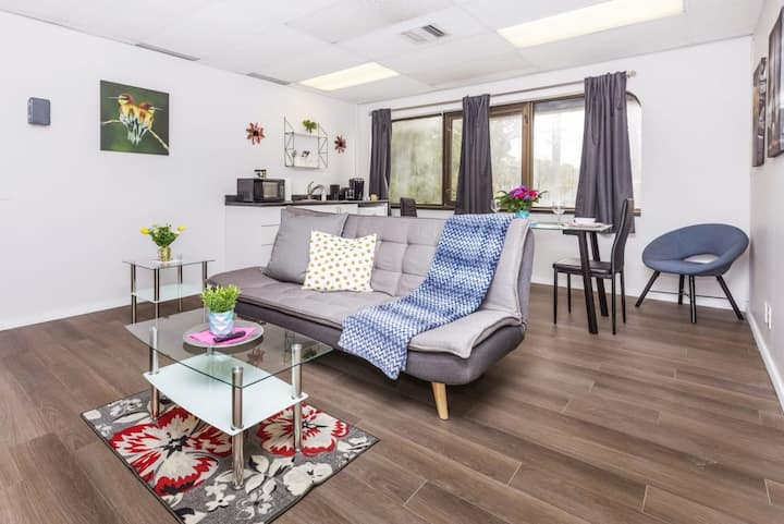 Pet-friendly Condo In Chinatown Near Little Italy - Ottawa