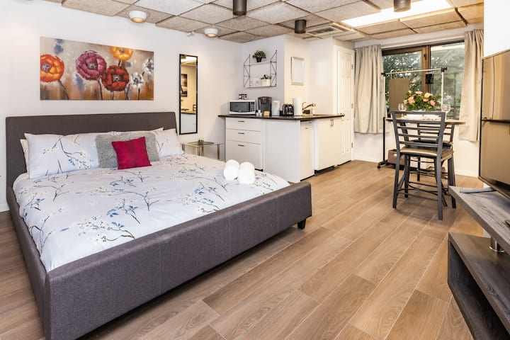 Studio King Bed Apartment—close To Chinatown - Ottawa