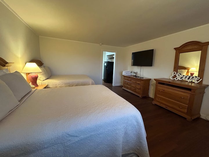 Island Inn - Studio Suite - 3b - Dog-friendly - Oa - Oak Bluffs, MA