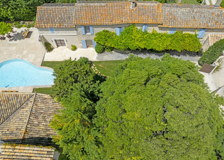 Mas Du Micocoulier - Piscine - Jardin - Maussane-les-Alpilles