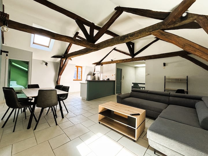 Grand Appartement Sous Les Toits - Bourges