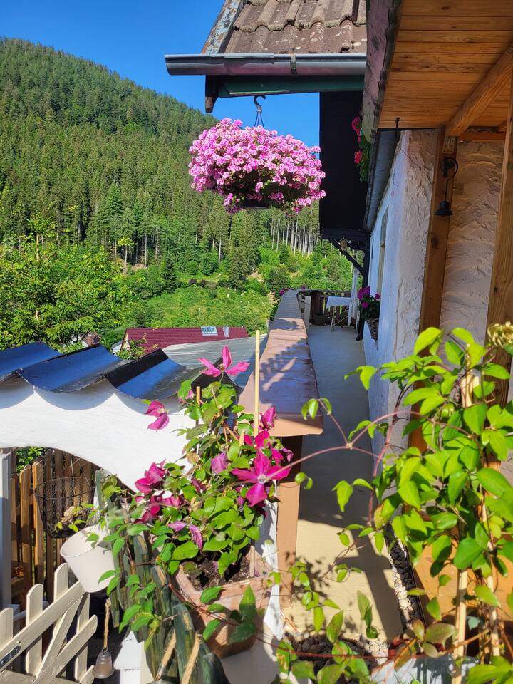 Ferienwohnung Schwarzwaldglück - Baiersbronn
