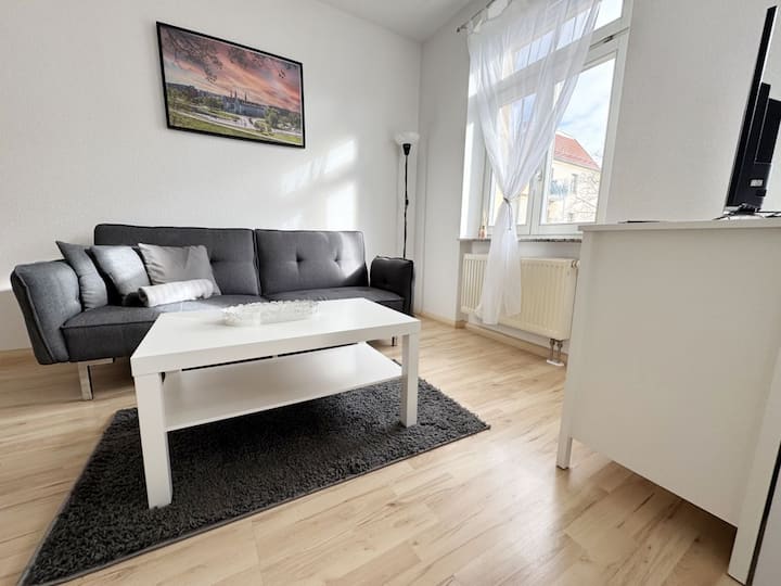 Zw02c Apartment In Zwickau - Zwickau