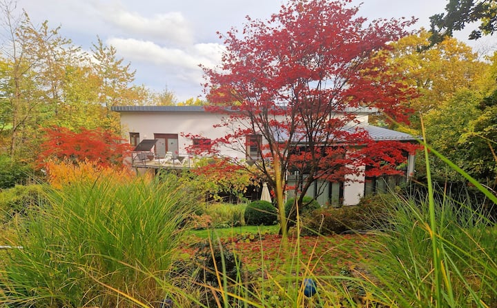 Villa Ralf (271738) - Frankenberg (Eder)