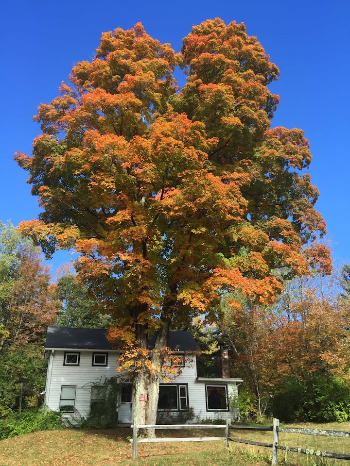 Historic Farmhouse W/ Hot Tub, Sauna & Trails - Hunter, NY
